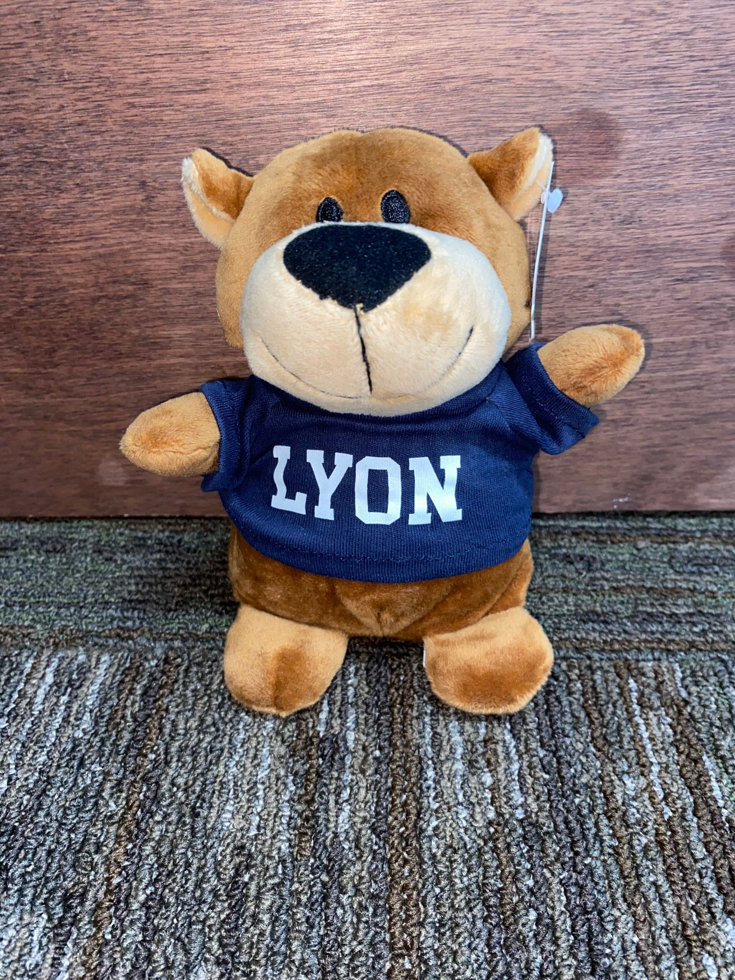 Bean Bag Buddies | The Scot Shop